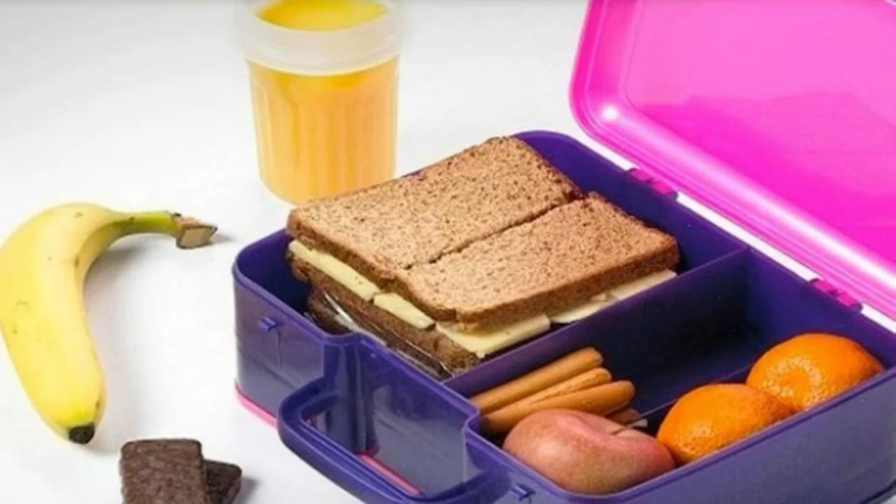 Cuáles son las MEJORES loncheras escolares en 2024, según Profeco – NoticiasPV Nayarit
