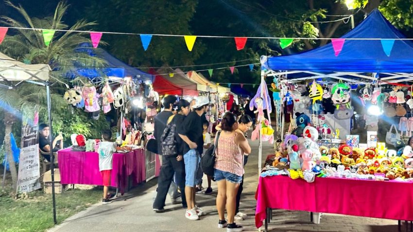 Actividades juveniles impulsan participación social y emprendimiento en Puerto Vallarta ...